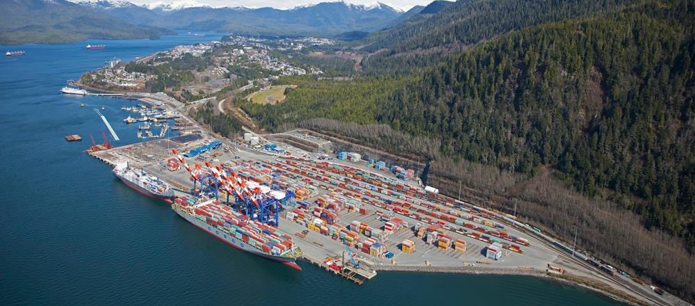 Portfolio | Network Bonding & Insurance